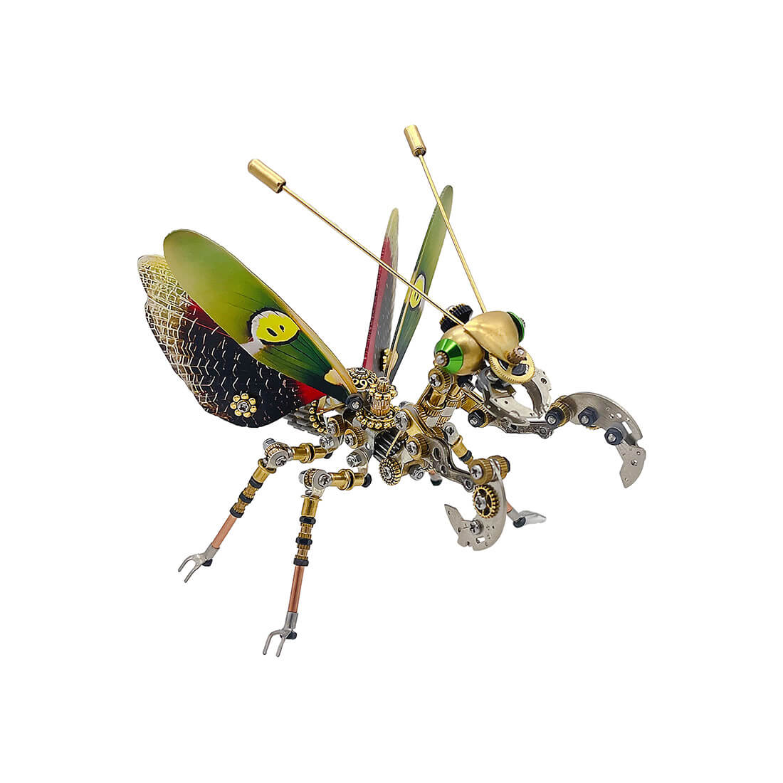 Insect Lovers Insect Lovers