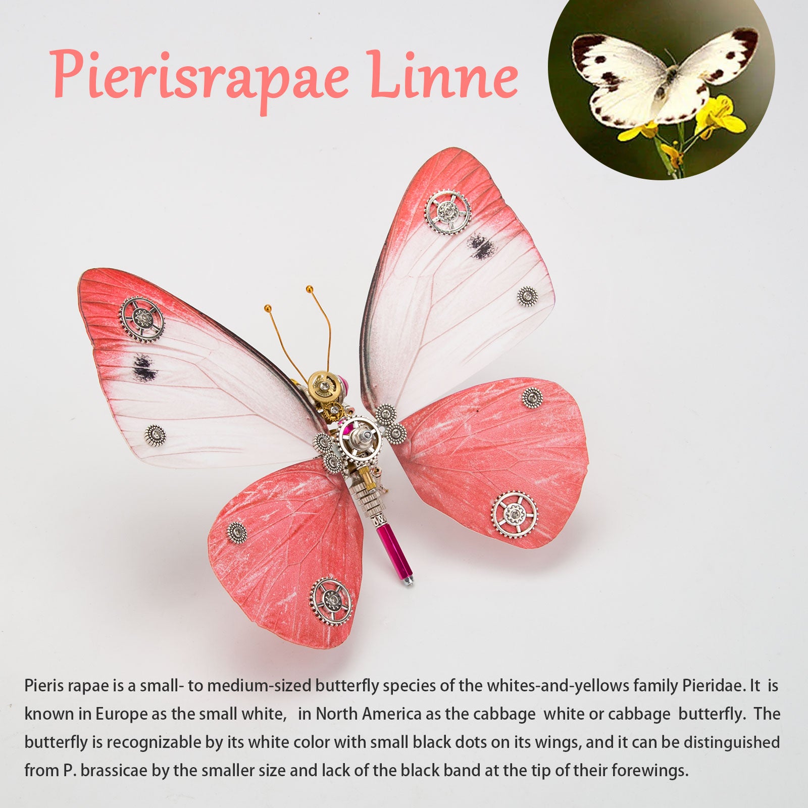 200PCS+ Steampunk Metal Assembly Butterfly Lymantria Punicea, Alcides