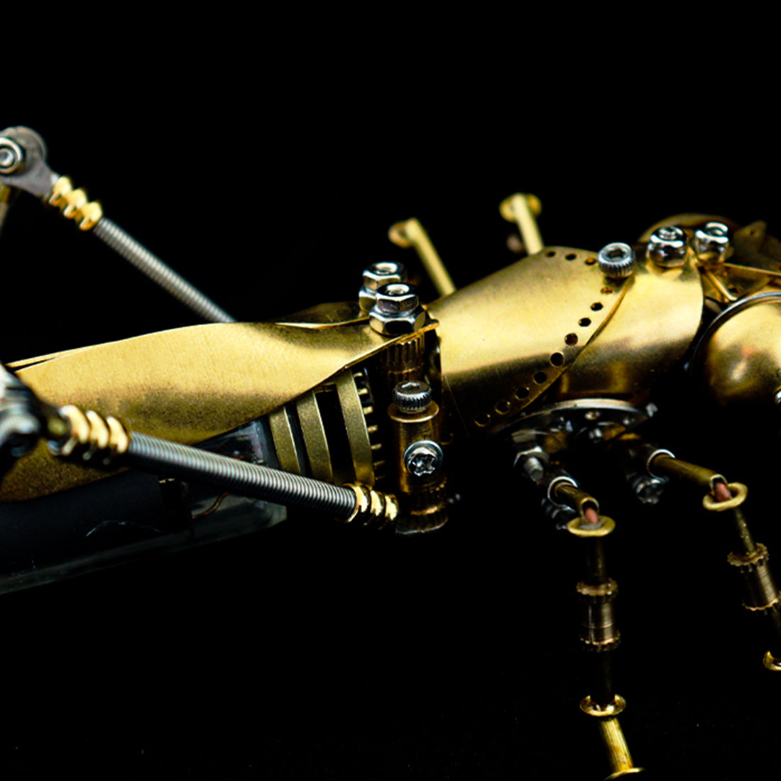 Brass Insect Metal Beetle Model Insect Handmade Crafts Collection