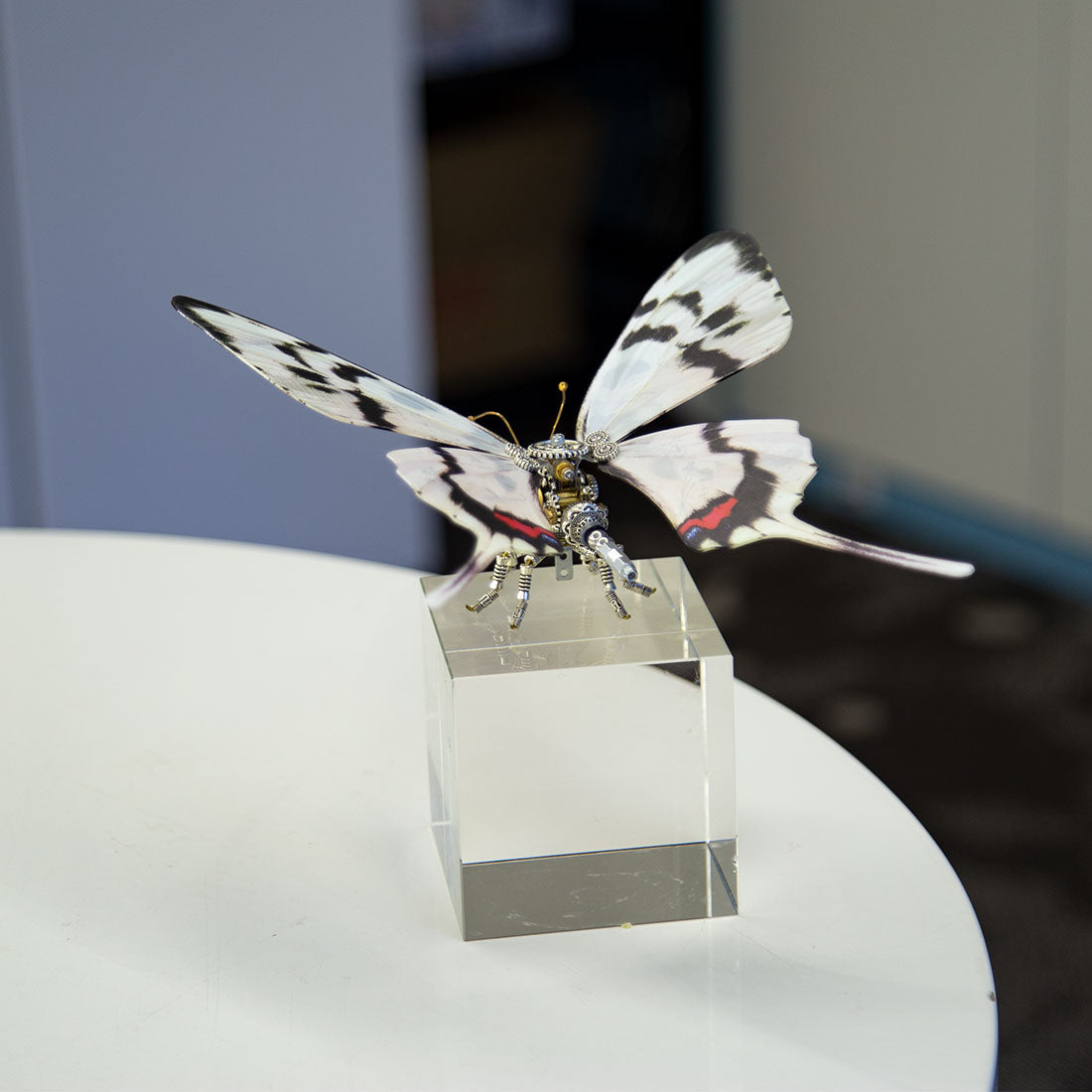 Steampunk Dragon Swallowtail Butterfly Metal Model Kits with Landscape