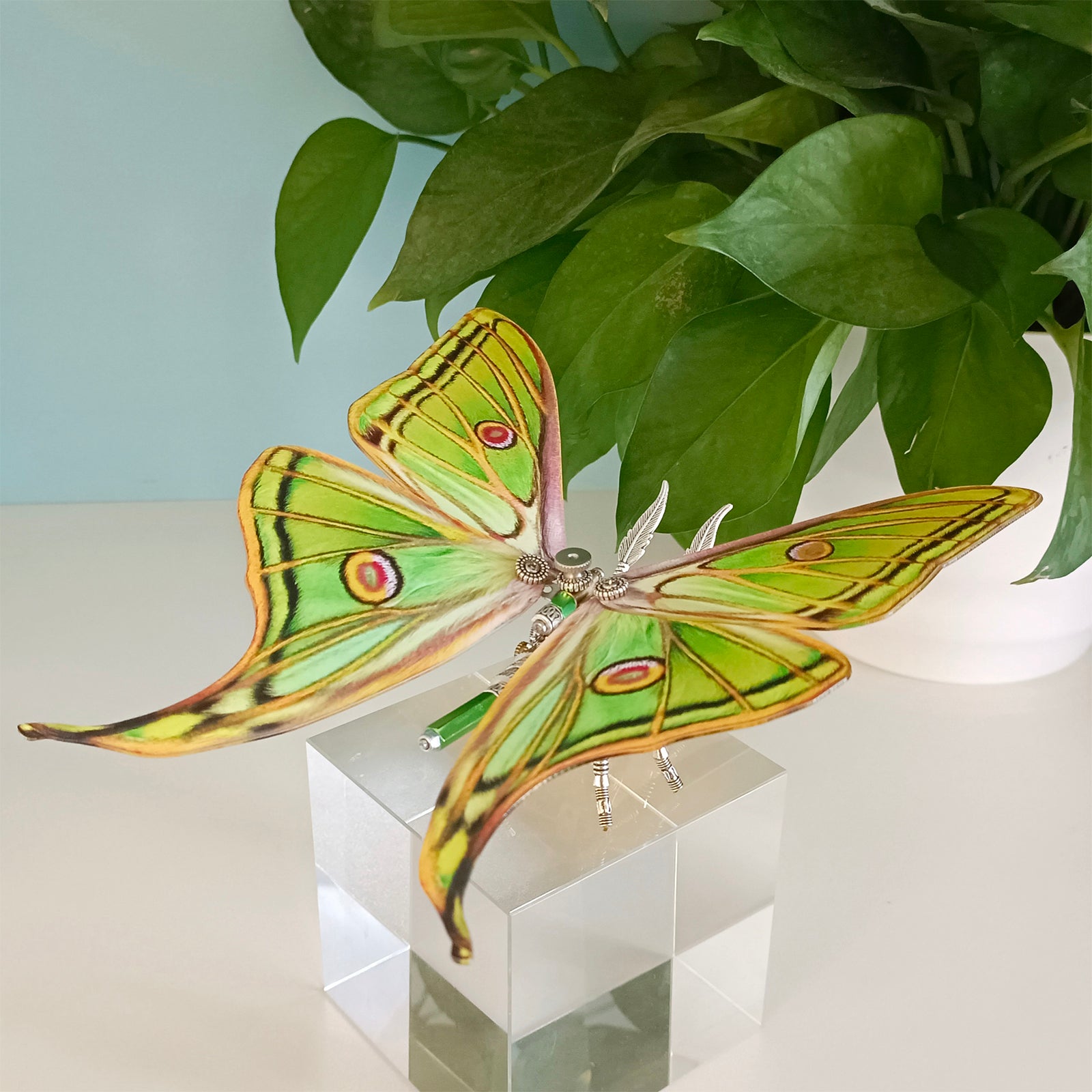 Steampunk Metal Spanish moon Moth 3D Model Puzzle Kits