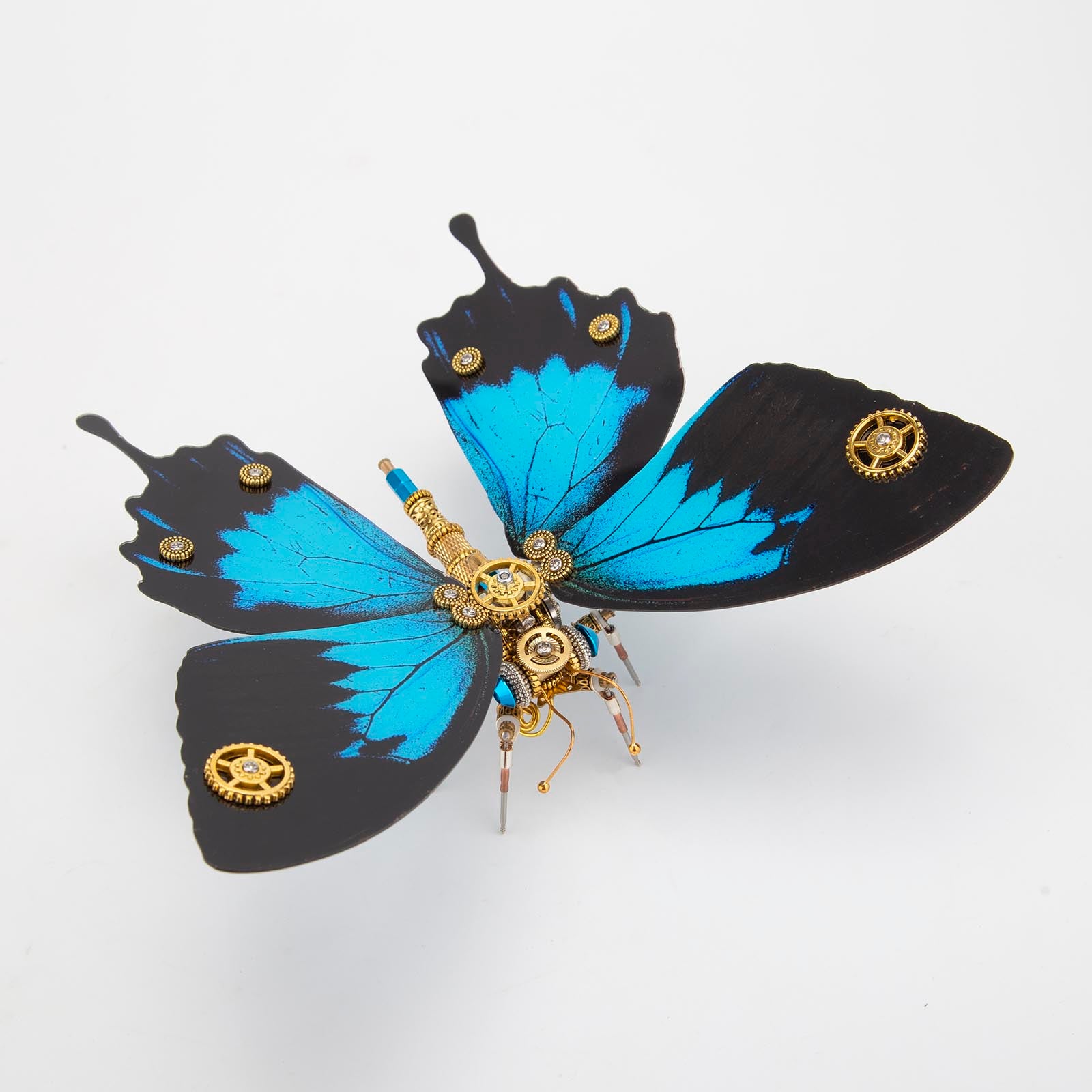 Steampunk Morpho Butterfly Kits for Butterfly Lovers Steampunk Decor