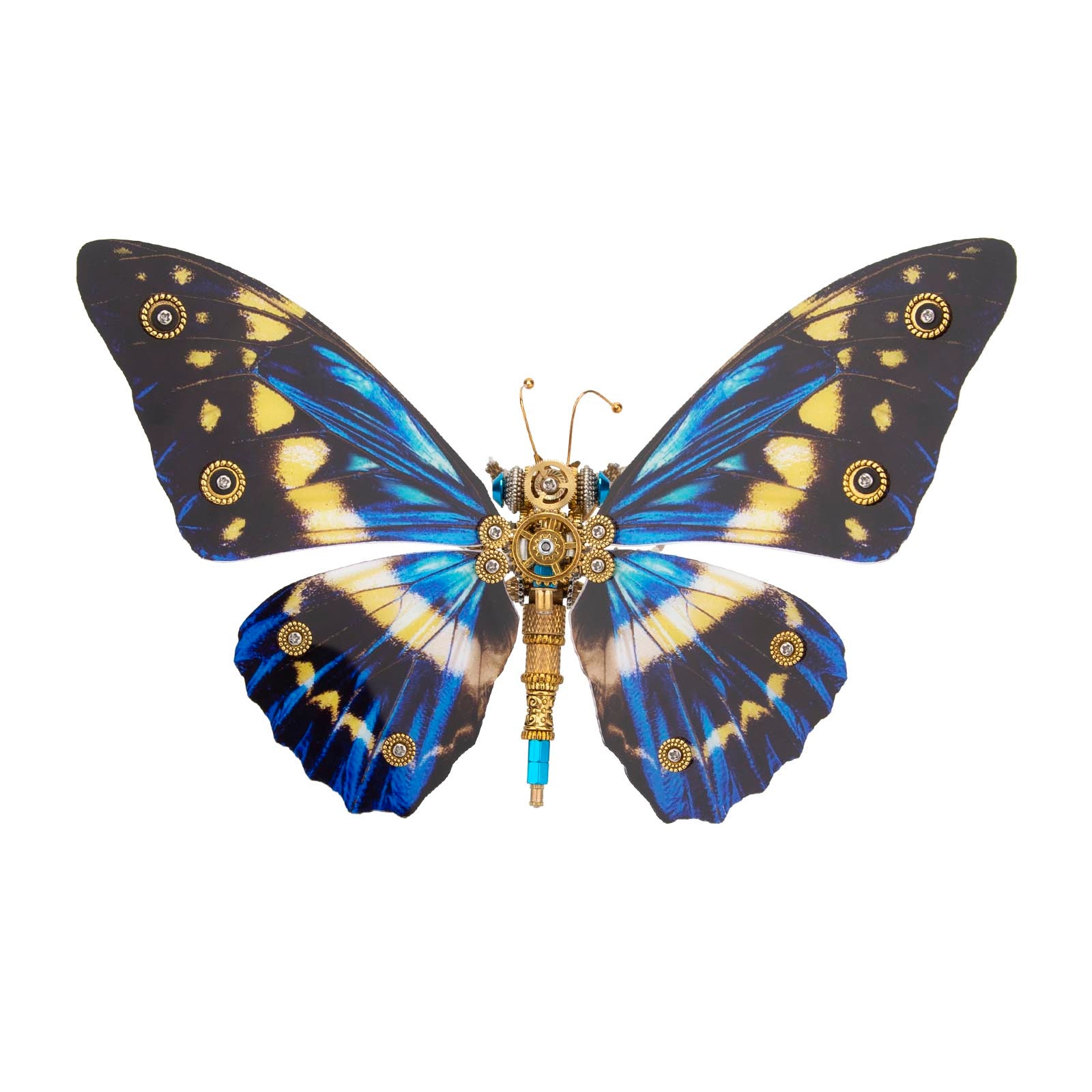 Steampunk Morpho Butterfly Kits for Butterfly Lovers Steampunk Decor