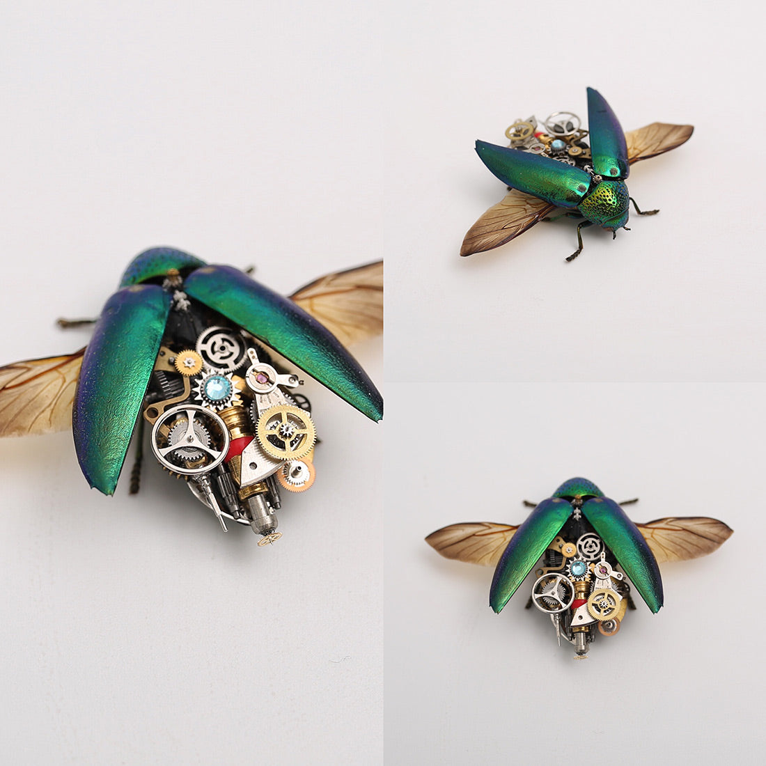 steampunk-shiny-green-jewel-beetle-bug-insect-gothic-model-with-frame