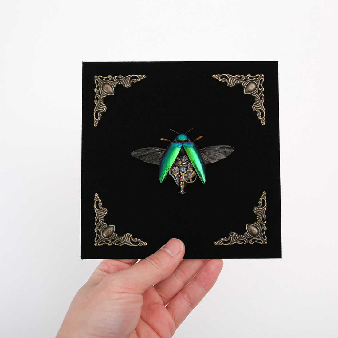 Steampunk Shiny Green Jewel Beetle Bug Insect Gothic Model with Frame