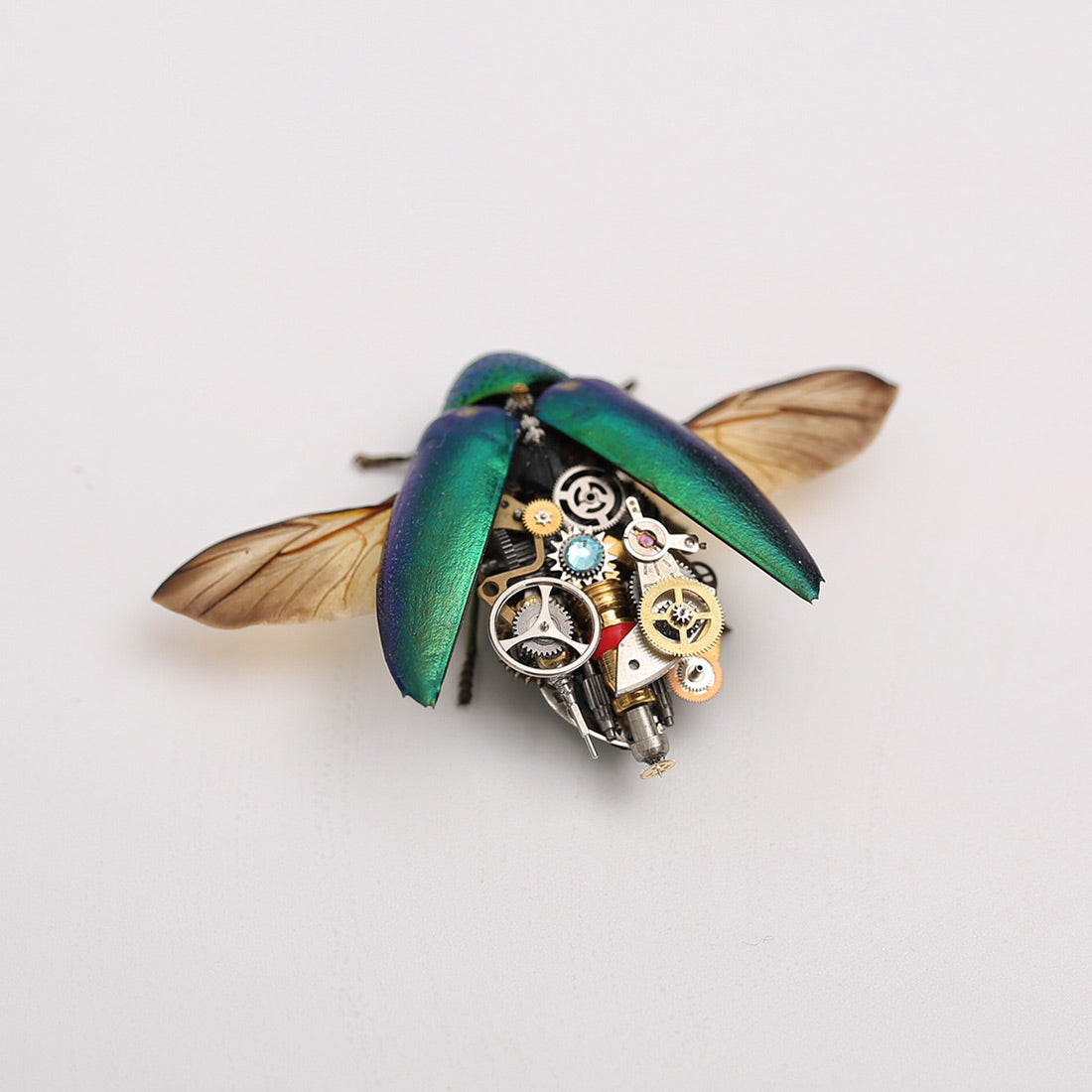 Steampunk Shiny Green Jewel Beetle Bug Insect Gothic Model with Frame
