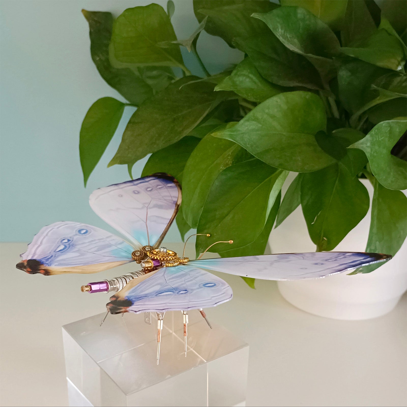 Steampunk Stunning Morpho Sulkowskyi Butterfly 3D DIY Metal Puzzle